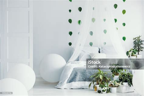 더블 침대와 흰색과 녹색 침구 회색 담요 큰 풍선 세련 된 침실 인테리어에서 캐노피와 화분에 식물 식물에 대한 스톡 사진 및
