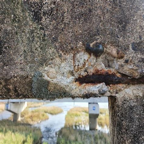 Concrete Instance Segmentation Dataset By Rebar Exposure And Spalling