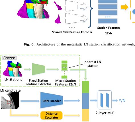 Figure 1 From Integrating Features From Lymph Node Stations For Metastatic Lymph Node Detection