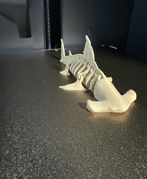 Hammerhead Shark Bones 3d Model By Littletup On Thangs