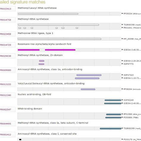Detailed Interpro Member Database Match Data For Uniprotkb Entry Q3jcg5