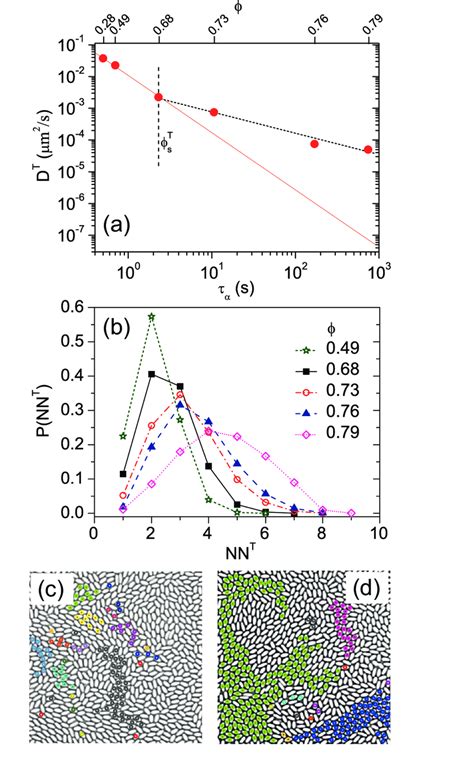 Color Online A Translational Diffusivity D T Versus The Structural