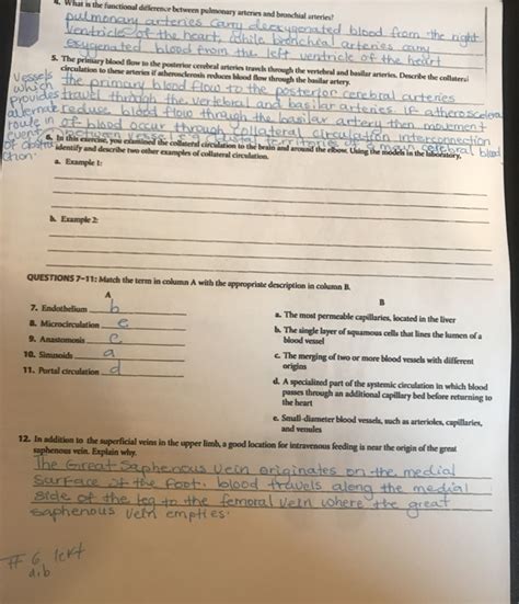 Solved 6 In This Exercise You Examined The Collateral