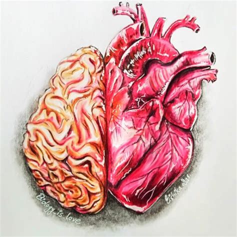 Polyadenylation Biologyislove