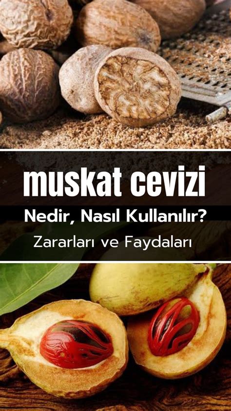 Muskat Cevizi Nedir Faydaları Ve Zararları Tarif Sokağı Şifalı Otlar Baharat Bir
