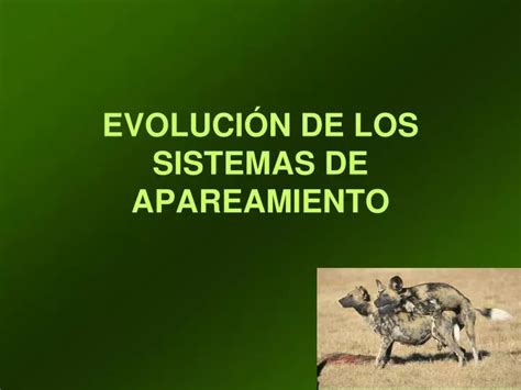 Ppt Evoluci N De Los Sistemas De Apareamiento Powerpoint Presentation