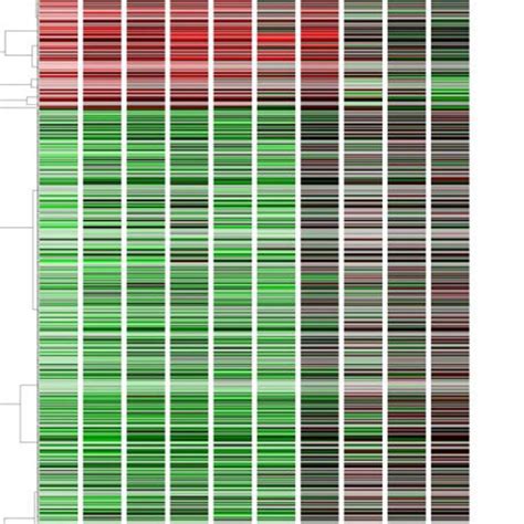 Hierarchical Clustering Of All Statistically Significant Genes That Download Scientific Diagram