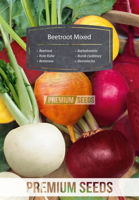 Beetroot Mix Of Colorful Varieties Premiumseeds Producer Of Seeds