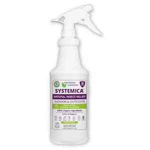Organic Mealybug Control