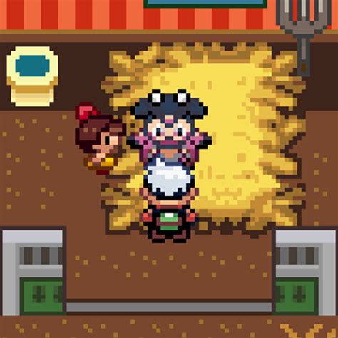 Pokémon Flora Sky Tu Mundo Hack Rom