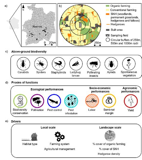 Table 1 From Ecological Performance Underlying Ecosystem Multifunctionality Is Promoted By