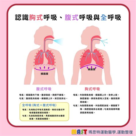 Mast 近日「肺」的議題，似乎瀰漫著低氣壓，新的一年開始，讓我們重新認識「胸式呼吸、腹式呼吸與全呼吸吧🫁」 📌胸式呼吸： “吸氣”時，外肋間肌收縮，橫膈膜上升，會將肋骨向上提，使胸腔空間