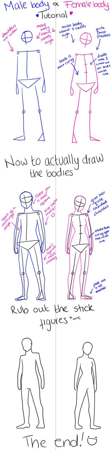 Male And Female Body Tutorial By MyBananaMusic On DeviantArt Body Tutorial Anime Art Tutorial