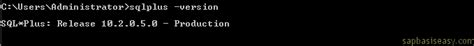 Upgrading Sap Oracle Database Sap Basis Easy