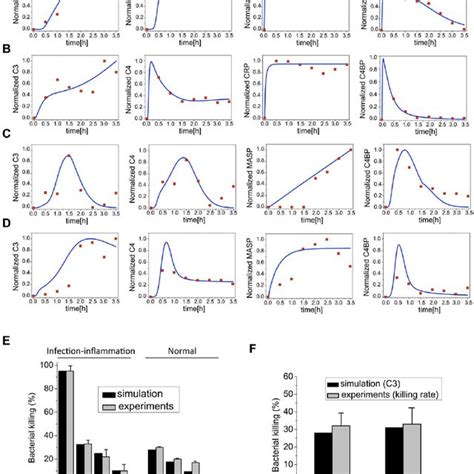 Simplified Schematic Representation Of The Complement System And
