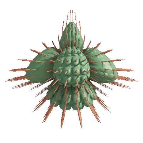 Transparent Gif WiffleGif