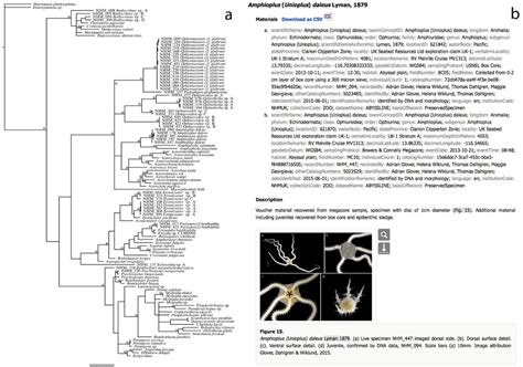 Jmse Free Full Text An End To End Dna Taxonomy Methodology For Benthic Biodiversity Survey