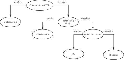 Figure 1 From Deep Learning Based Strategy For Macromolecules Classification With Imbalanced