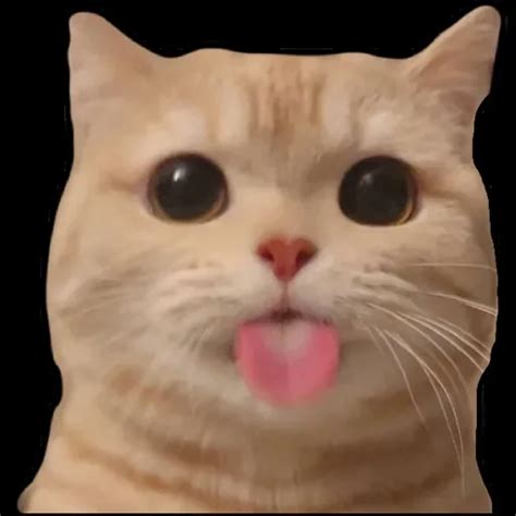 котики набор стикеров для Telegram и Whatsapp