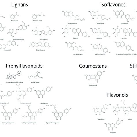 Summary Of Effects Of Phytoestrogen Compounds On Various Cell Types