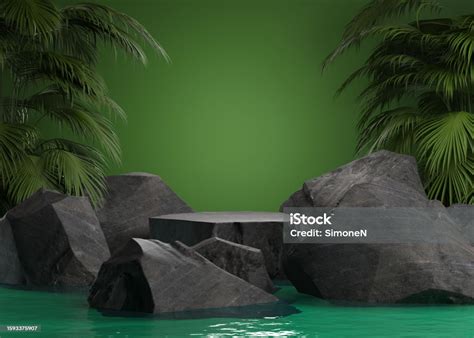 제품 발표를 위한 열대 우림의 검은 돌과 바위 손바닥 돌 물이있는 빈 연단 0명에 대한 스톡 사진 및 기타 이미지 0명 3