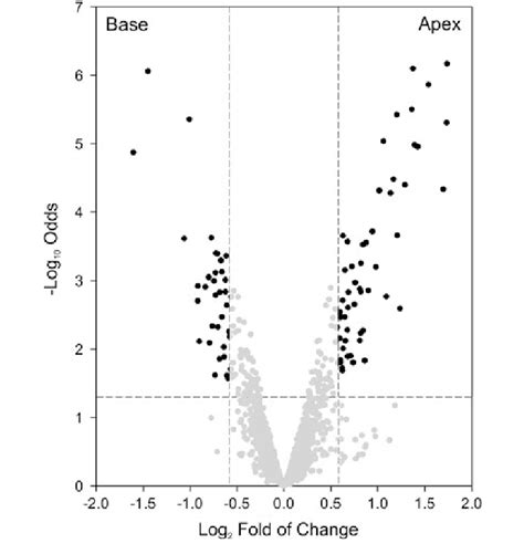 Graphical Representation Of The Microarray Data Analysis Microarray