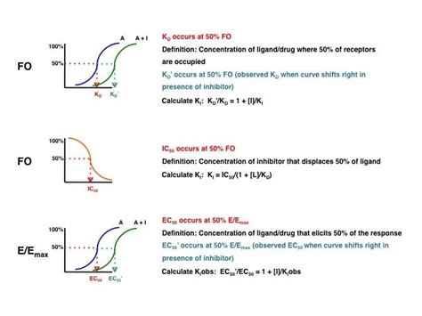 Ic50 And Ec50 Calculation Methods Genspark