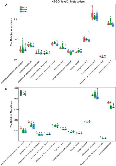 The Relative Abundance Of Microbial Functions Related To Metabolism