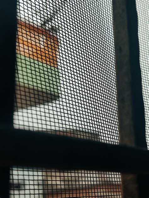 Ammar Khan Fotografie