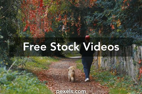 Stepdaughterwalksinondadtakingashower Videos Download The Best