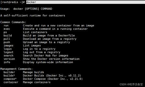 【docker】容器使用（nginx 示例）docker容器中如何查询nginx运行状态 Csdn博客