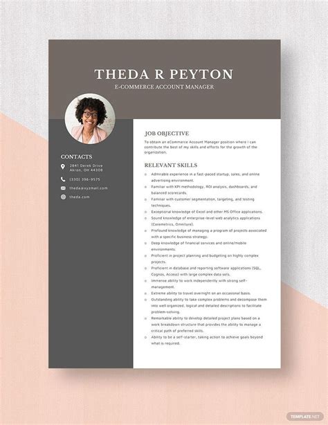 E Commerce Developer Resume In Word Pages Download