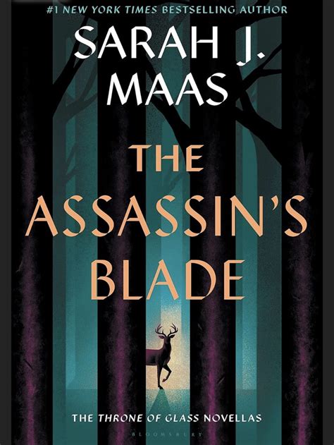 Book Review The Assassins Blade Bookish Journeys