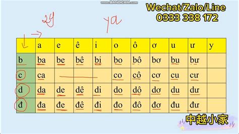 从零学习越南语越南语的字音和母音练习越南語 越南语 Youtube
