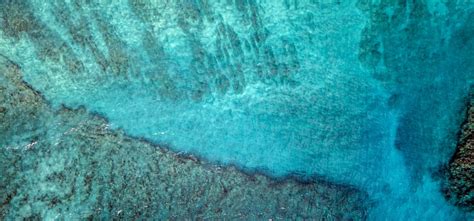 Ликёр Gambini Aperitivo 0.7 л (Гамбини Аперитиво), купить в магазине в ...