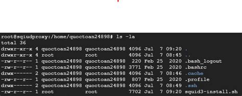 Set Up Squid Proxy Server Raiii