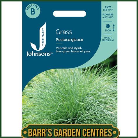 Johnsons Grass Festuca Glauca 100 Seeds Barrs Garden Centres