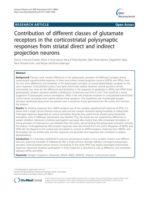 Pdf Contribution Of Different Classes Of Glutamate Receptors In The Corticostriatal