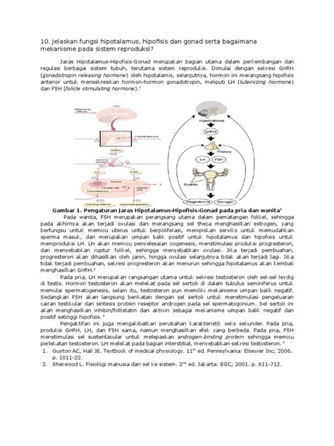 10 Jelaskan Fungsi Hipotalamus Hipofisis Dan Gonad Serta Bagaimana