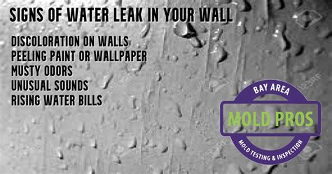Addressing Mold Inside Walls Detecting Water Leaks And Navigating Remediation By