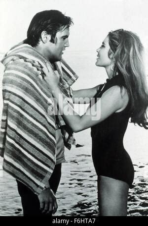 Live A Little Love A Little Michele Carey Elvis Presley 1968 Stock