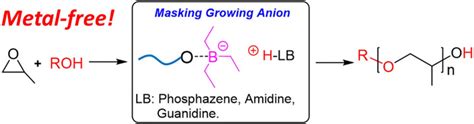 Metal‐free Route To Precise Synthesis Of Polypropylene Oxide And Its