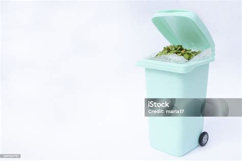 주방 음식물 쓰레기 및 식물 트리밍과 같은 녹색 폐기물을 구성하는 재료로 채워진 쓰레기통입니다 0명에 대한 스톡 사진 및 기타 이미지 Istock