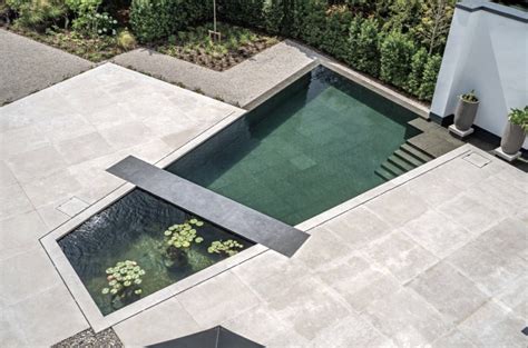 Pond And Pool Integration Natural Pool Pool Area Landscaping Architect