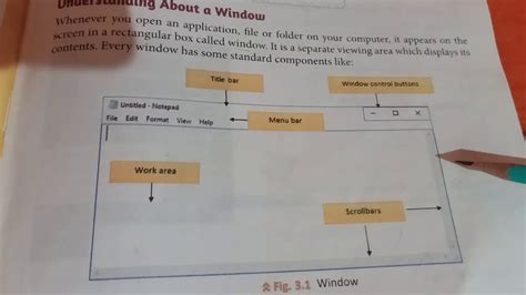 Class 5 Computer Lesson 2managing Windows Files And Folderspart 1 Youtube
