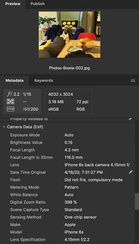 Personal Digital Archiving Metadata Tfi