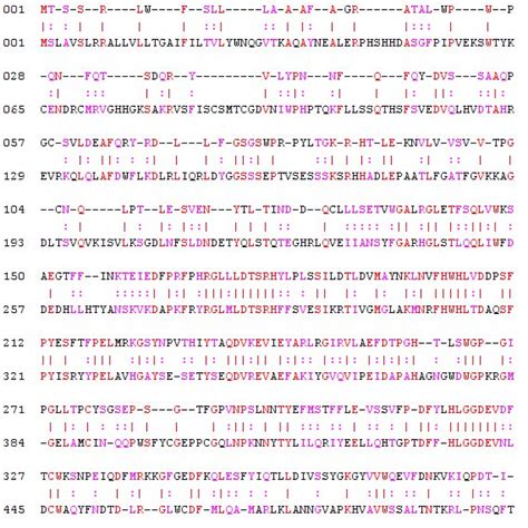 Global Alignment Nw Of Human And Fly By Using Blosum60 Scoring Matrix Download Scientific