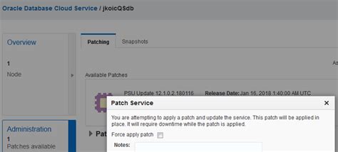 Confessions Of A Software Developer Oracle Integration Cloud Customer Managed And Patching
