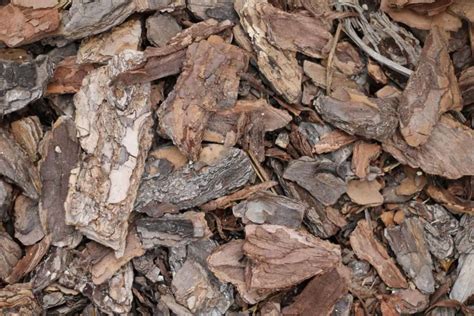 Most Environmentally Friendly Mulch Georgia Pine Straw