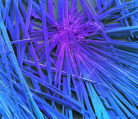 Antibiotic Crystal Sem Stock Image C058 4969 Science Photo Library